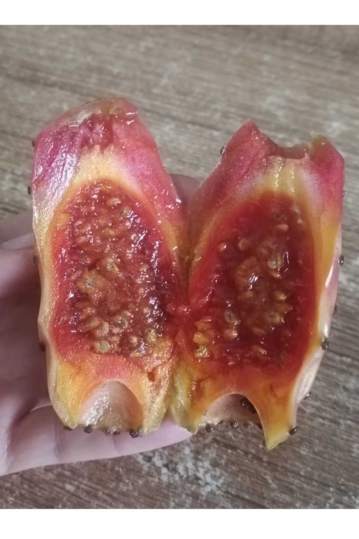 ŞİFAGIDA Dikenli Incir Tohumu Hint Inciri Frenk Inciri Papuç Inciri ...