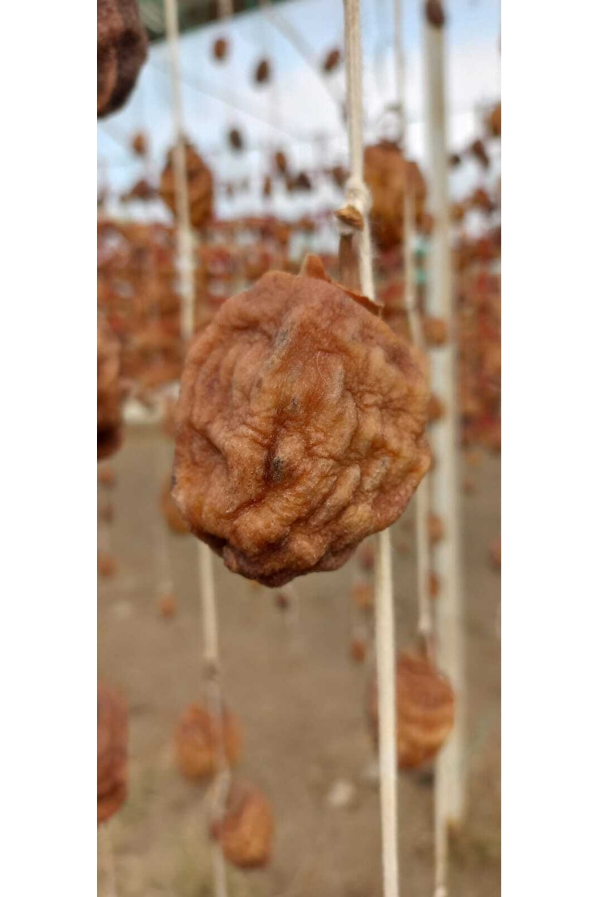 Doğallezzetler Trabzon Hurması (CENNET ELMASI) 500 gr Fiyatı, Yorumları ...