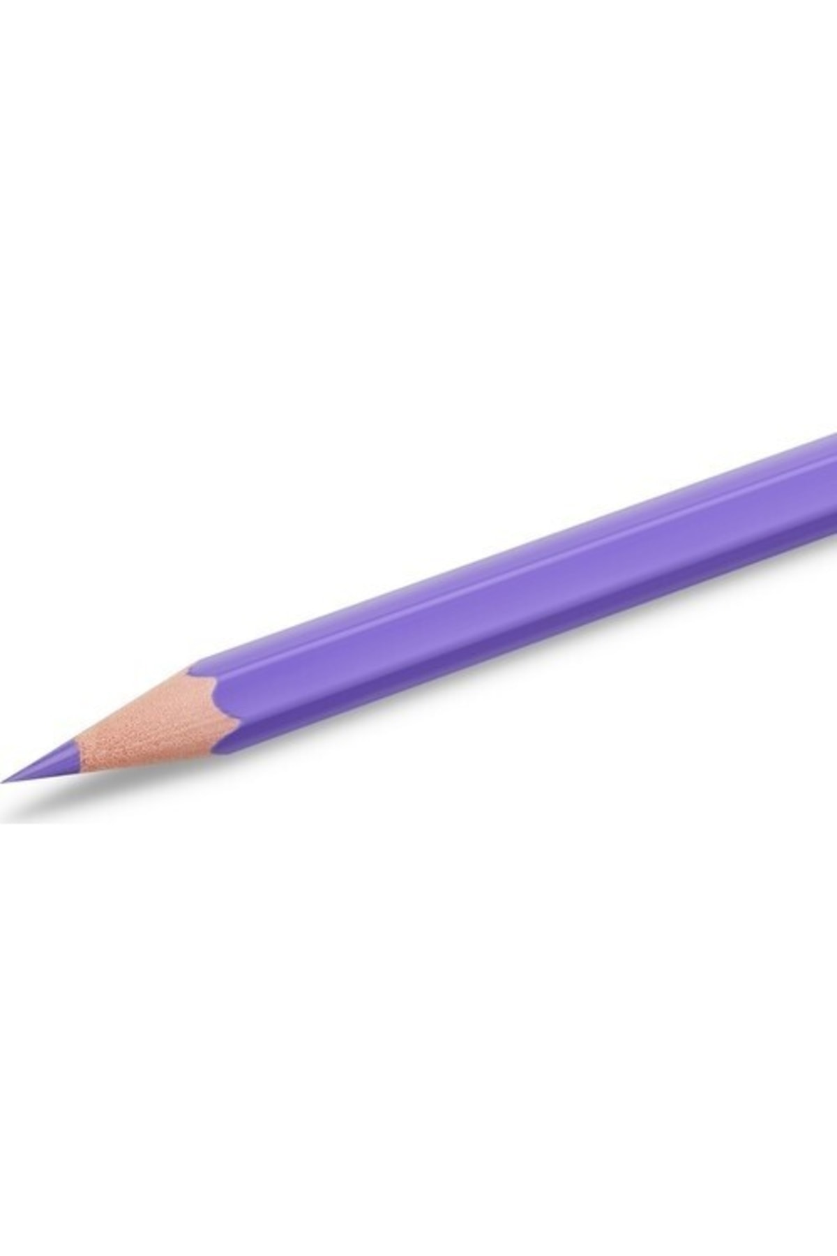 Bic Kids Tropicolors Kuru Boya Kalemi 24 Renk - Fiyatı, Yorumları