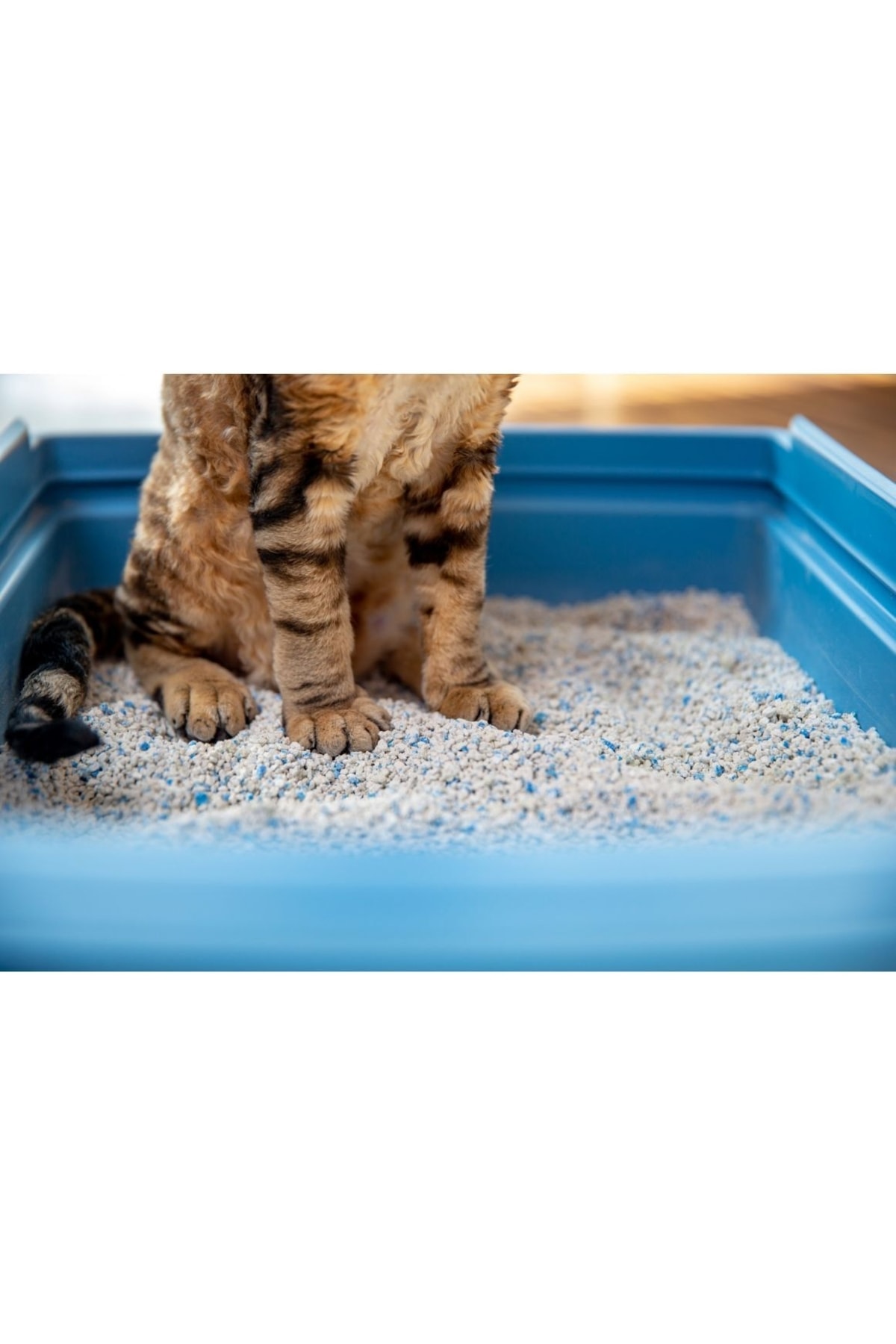 HEITMANN Pure Saf Oksijenli Beyazlatıcı Toz 350g - Fiyatı, Yorumları