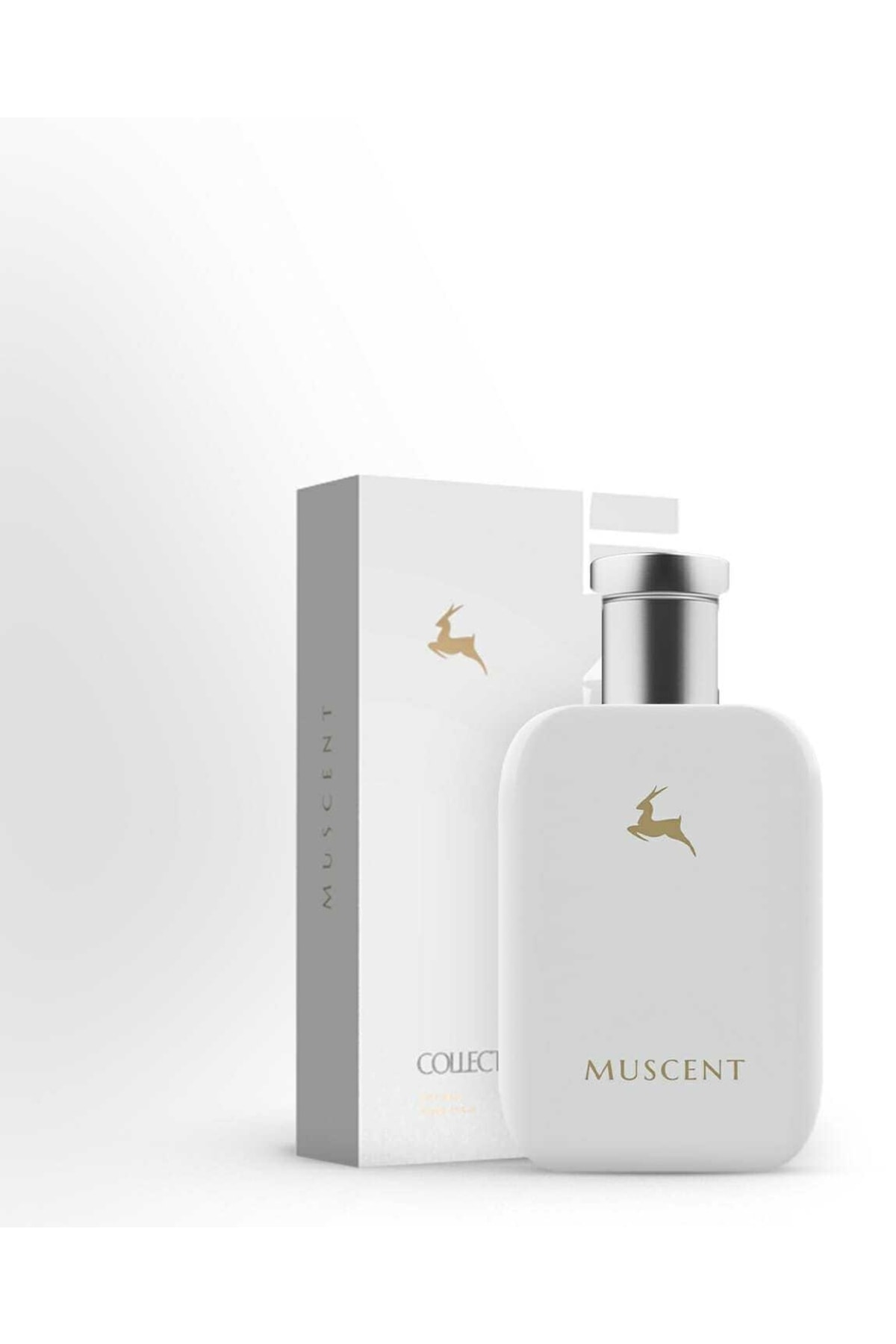 MUSCENT C049 50 Ml. Fiyatı, Yorumları - Trendyol