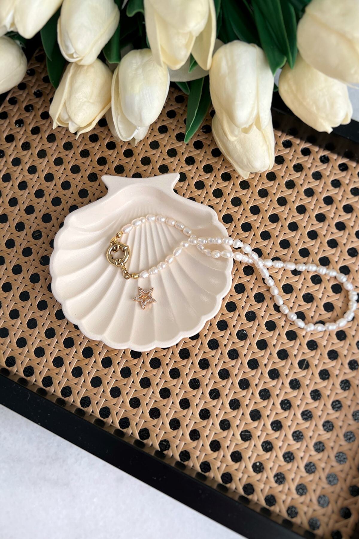 ToffyStore Bej Renk Beton Deniz Kabuğu - Fiyatı, Yorumları