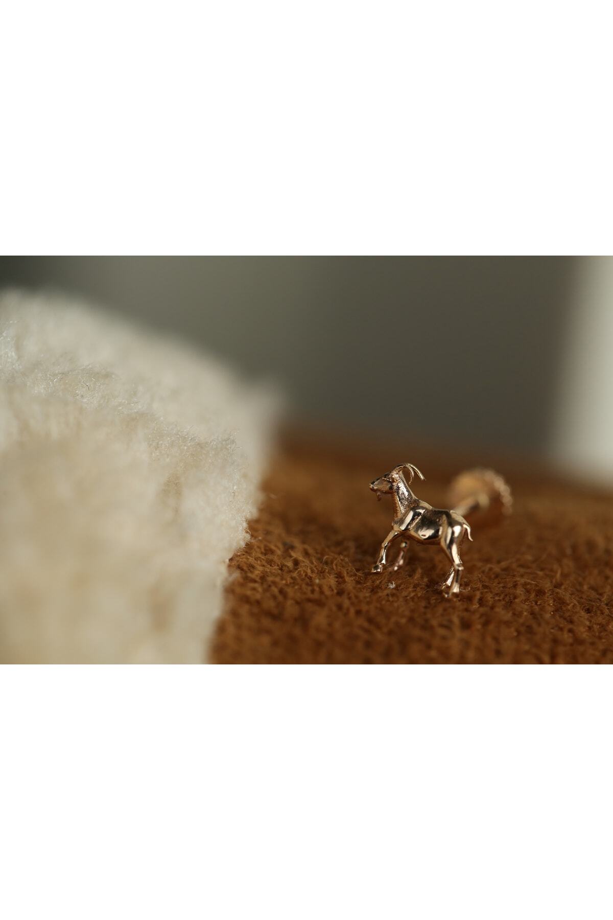 Reis Kuyumculuk The Goat Tragus - Fiyatı, Yorumları