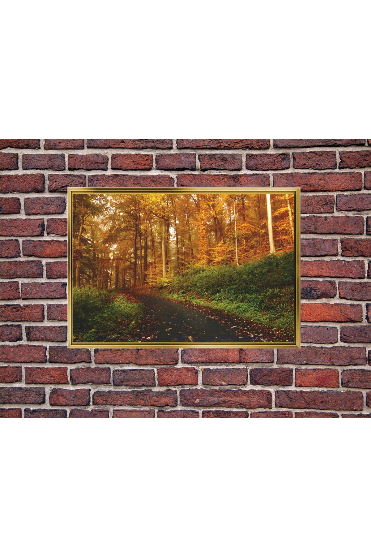 elceystr Tuval Üzerine Orman Manzara Baskı,çerçeve Seçeneği, Duvar ...