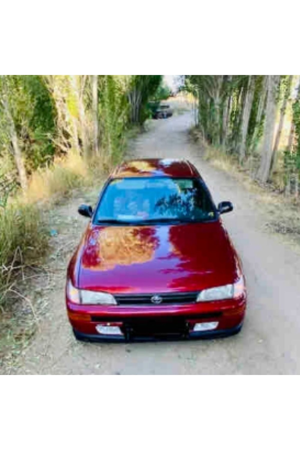 PONYAN Toyota Corolla Efsane Kasa Ön Sis Lambası Ampüllü Takım 2 Adet ...