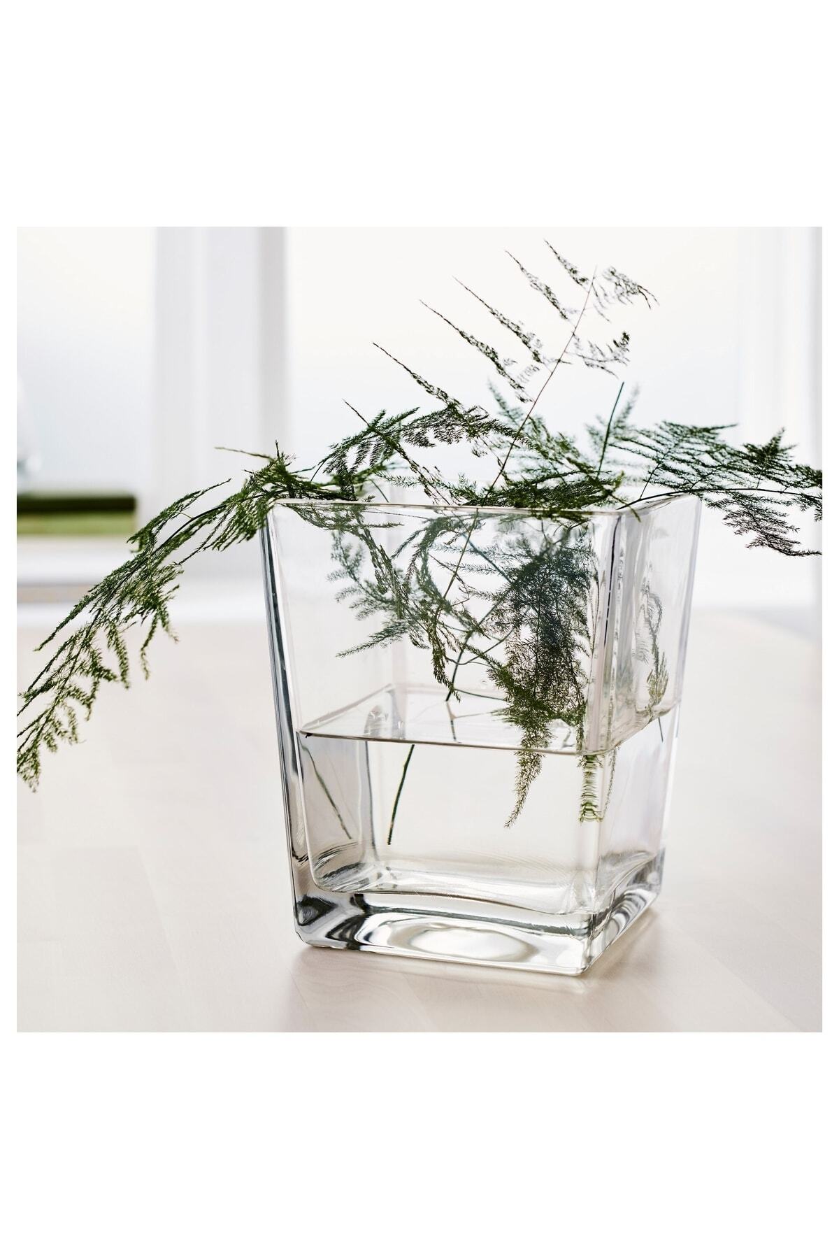 IKEA Klottrıg , Vazo, Cam Vazo, Saydam Cam, 17 Cm Fiyatı, Yorumları - Trendyol