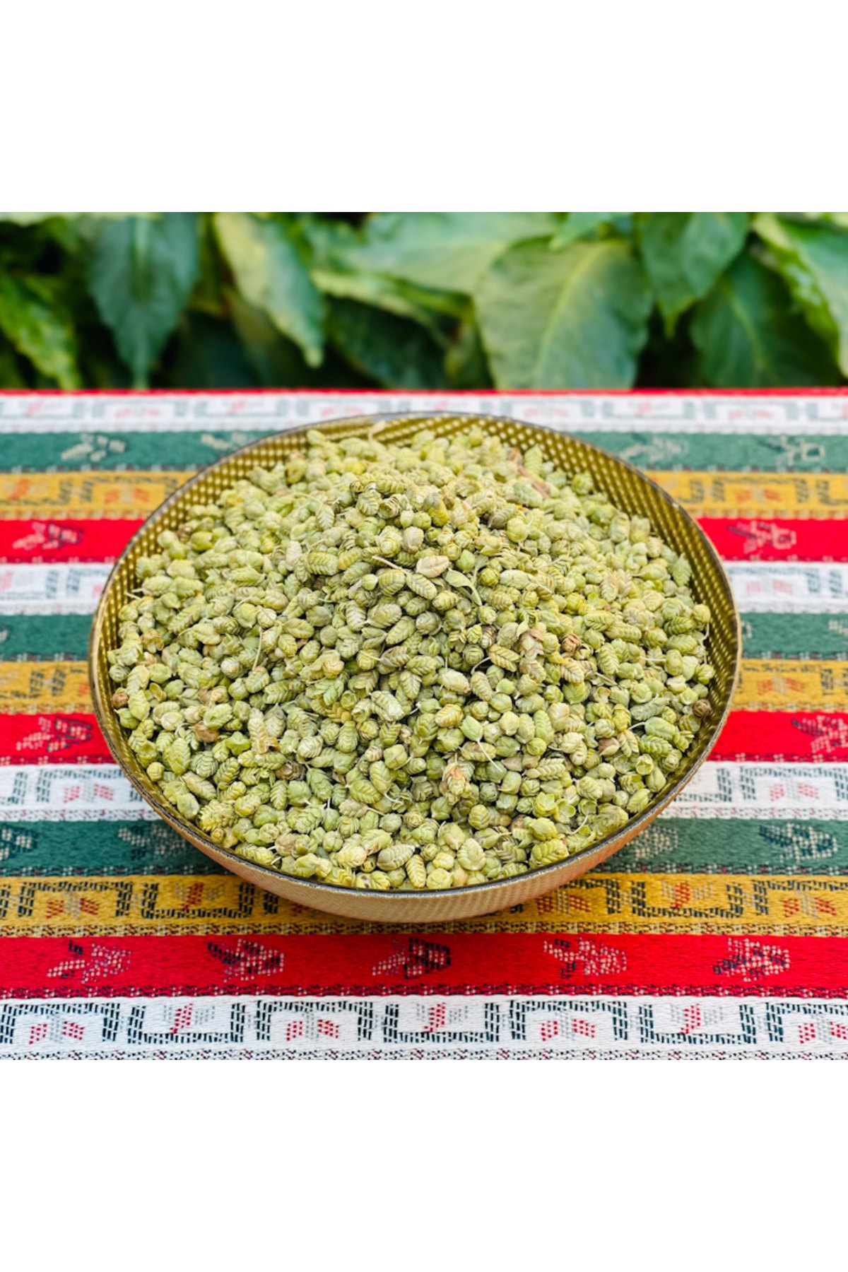 Organik Teyze Sevinç Teyze Bilye Kekik, Top Kekik, Bilya Kekik, Oregano ...