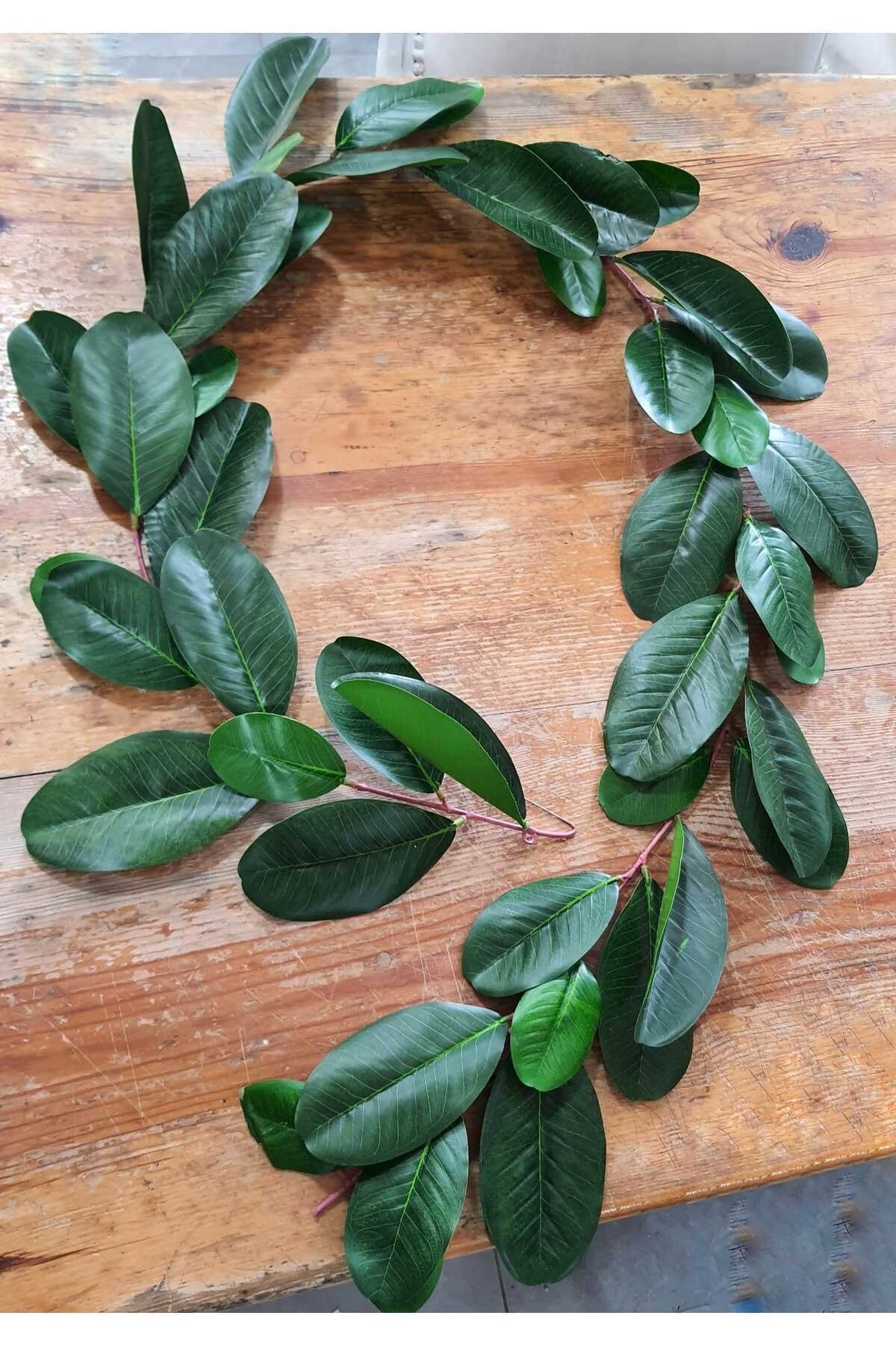 lolipophobi Sarmaşık Manolya Yaprağı (190 Cm), Manolya Yaprağı ...