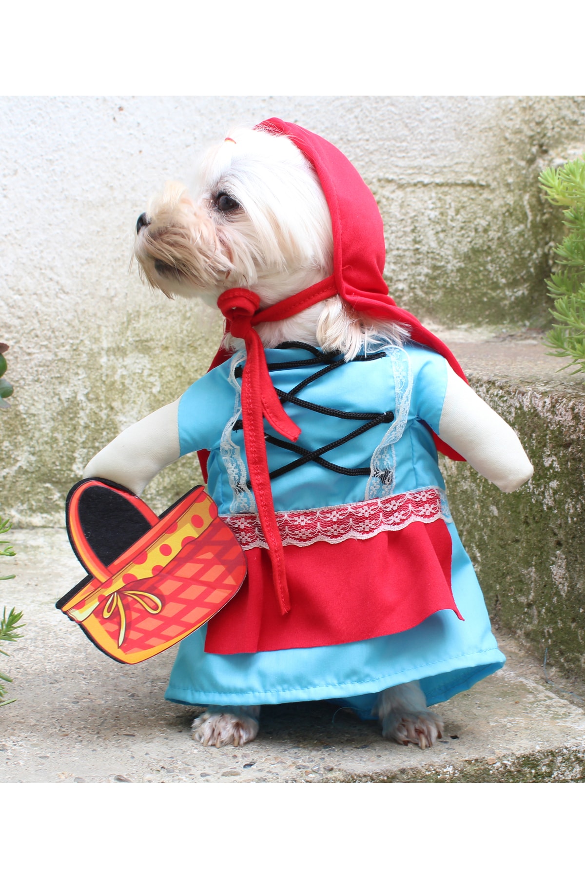 PETITE Kırmızı Baslıklı Kız Onden Giydirmeli Köpek Kıyafeti Kostümü ...
