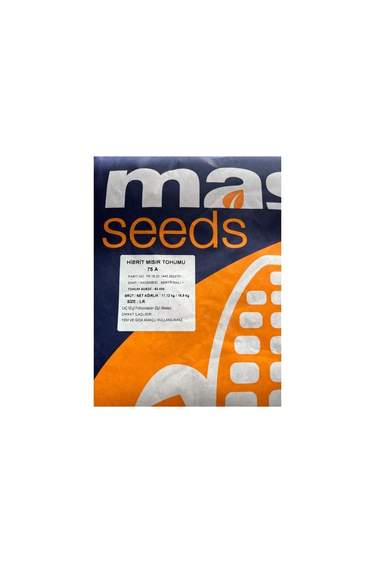 mas seeds Mas 75 A Danelik Ve Silajlık Mısır Tohumu (50.000 ADET ...