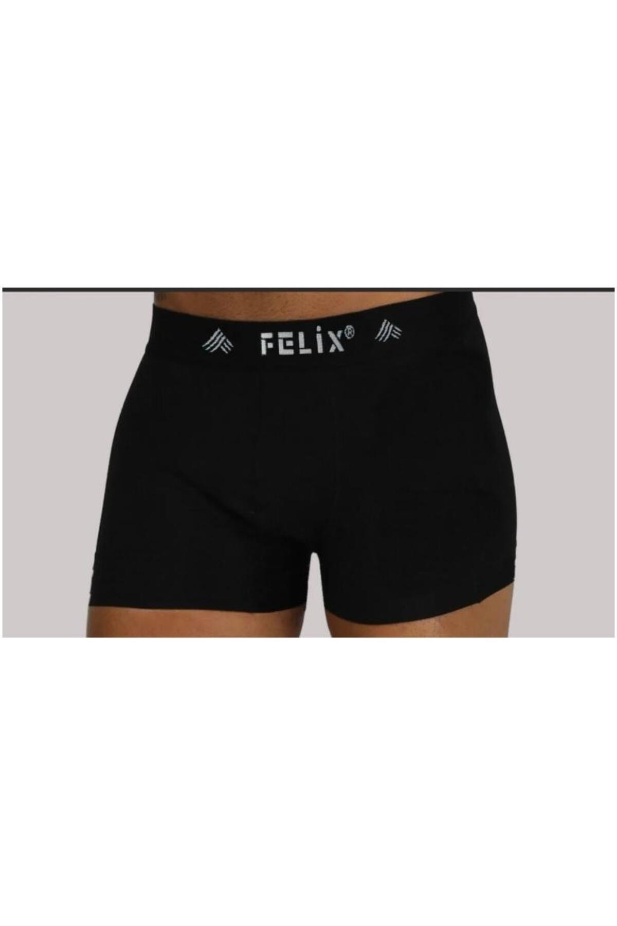FELİX FELİX ERKEK BOXER Fiyatı, Yorumları - Trendyol