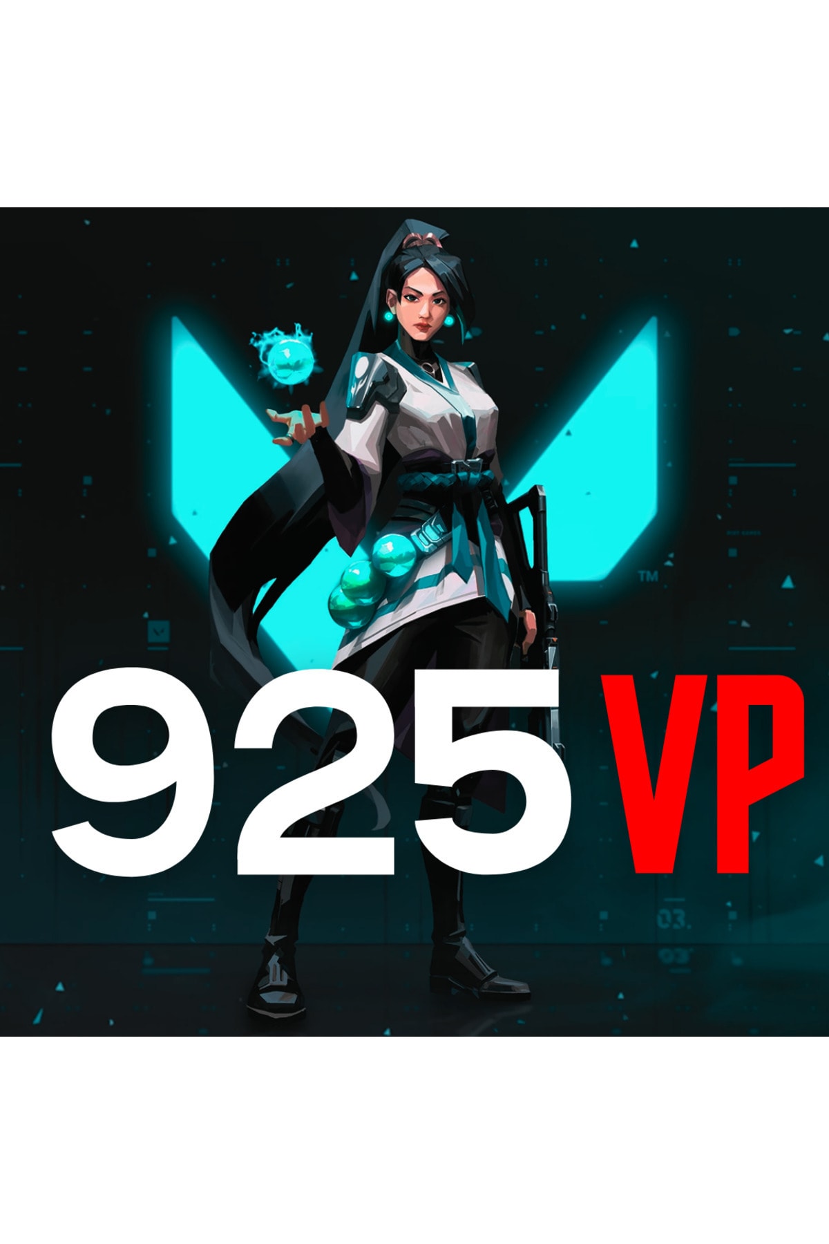 Riot Games Valorant 925 VP Valorant Points TR Fiyatı, Yorumları - Trendyol