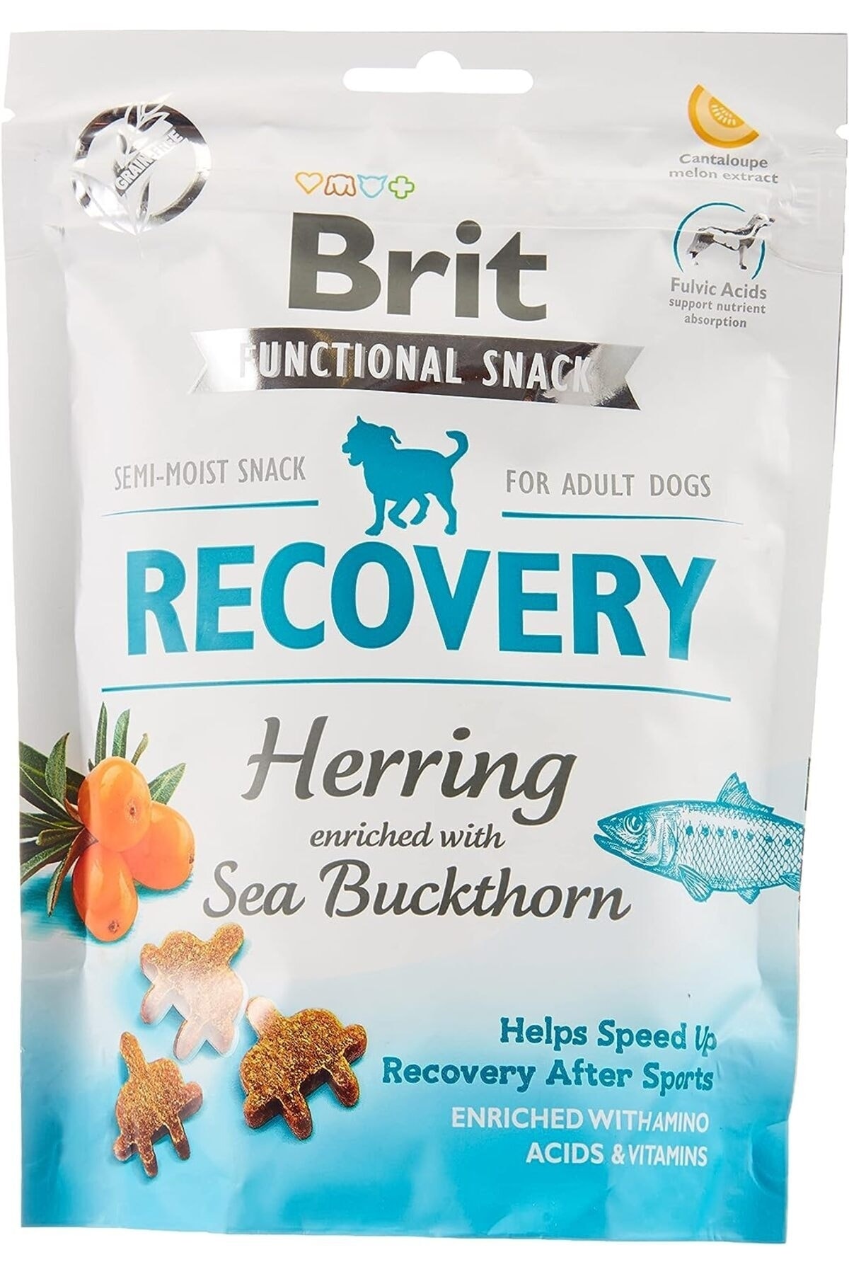 Brit Care Care Recovery Kuru Köpek Ödül Maması, Ringa Balıklı, 150 G ...