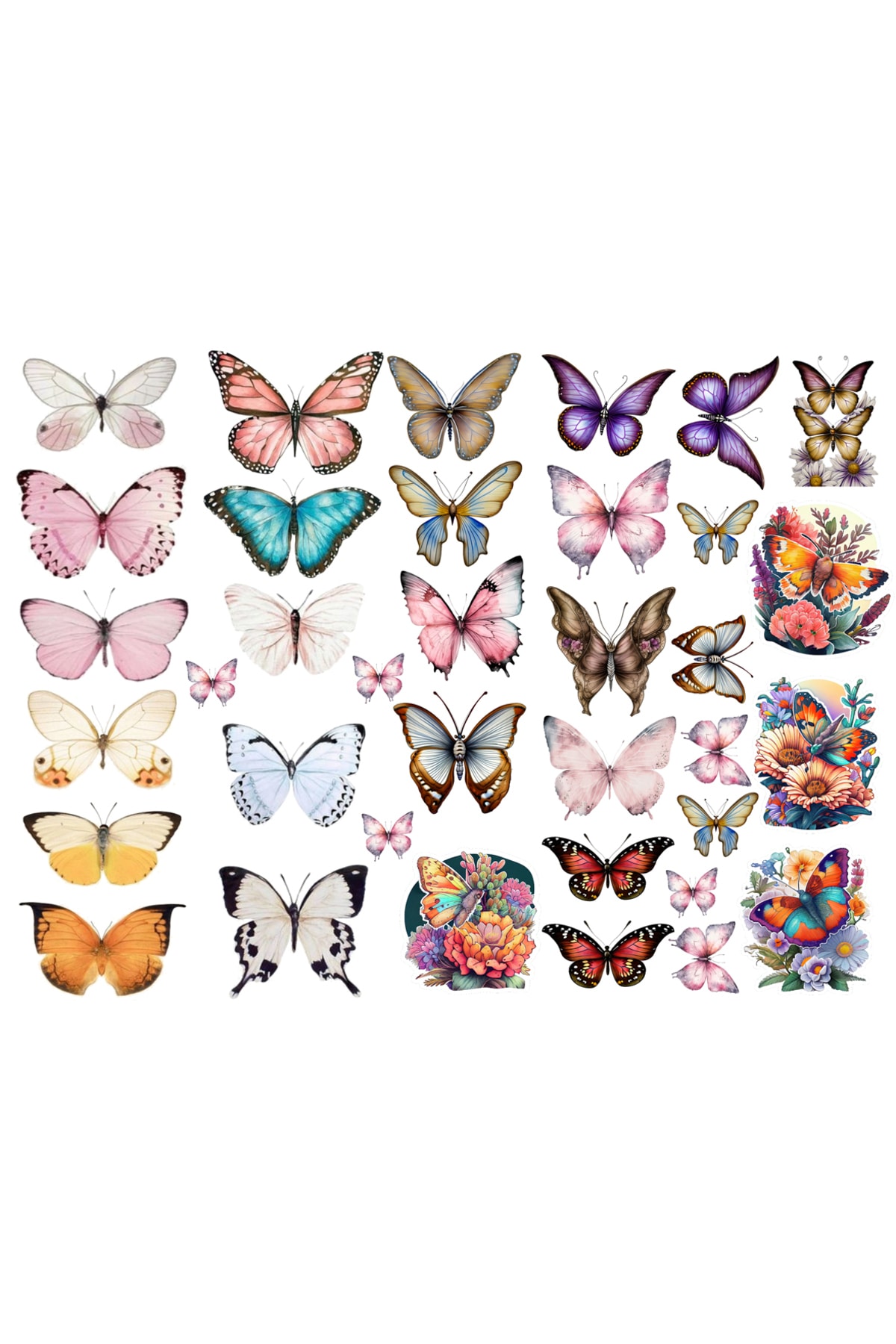 TELLGRAF Kelebek Sticker Seti (21x31) Fiyatı, Yorumları - Trendyol