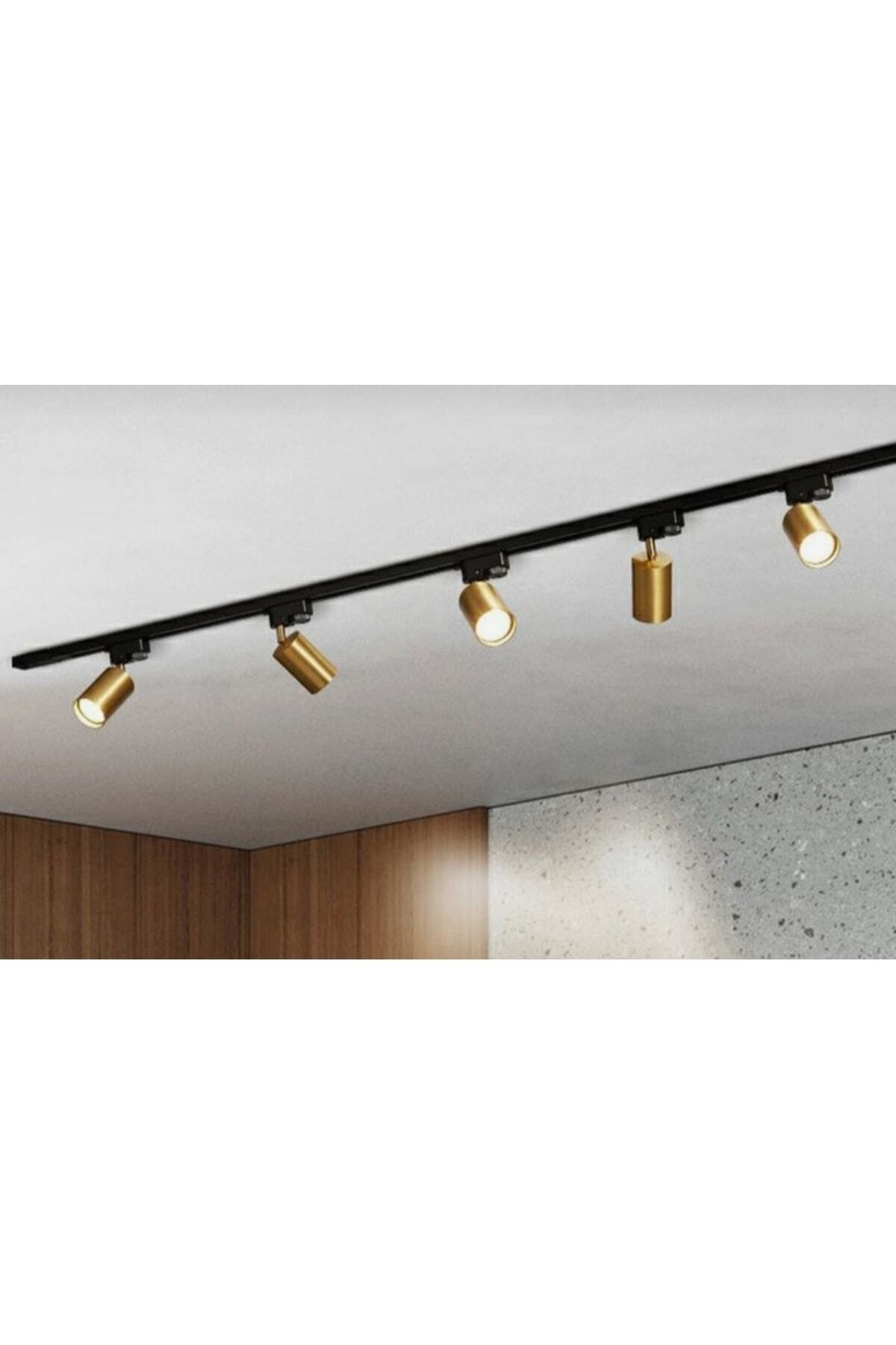 Mylights RAY SPOT ESKİTME 5Lİ LED SPOT 2 MT RAY ÜZERİNDE GÜN IŞIĞI ...