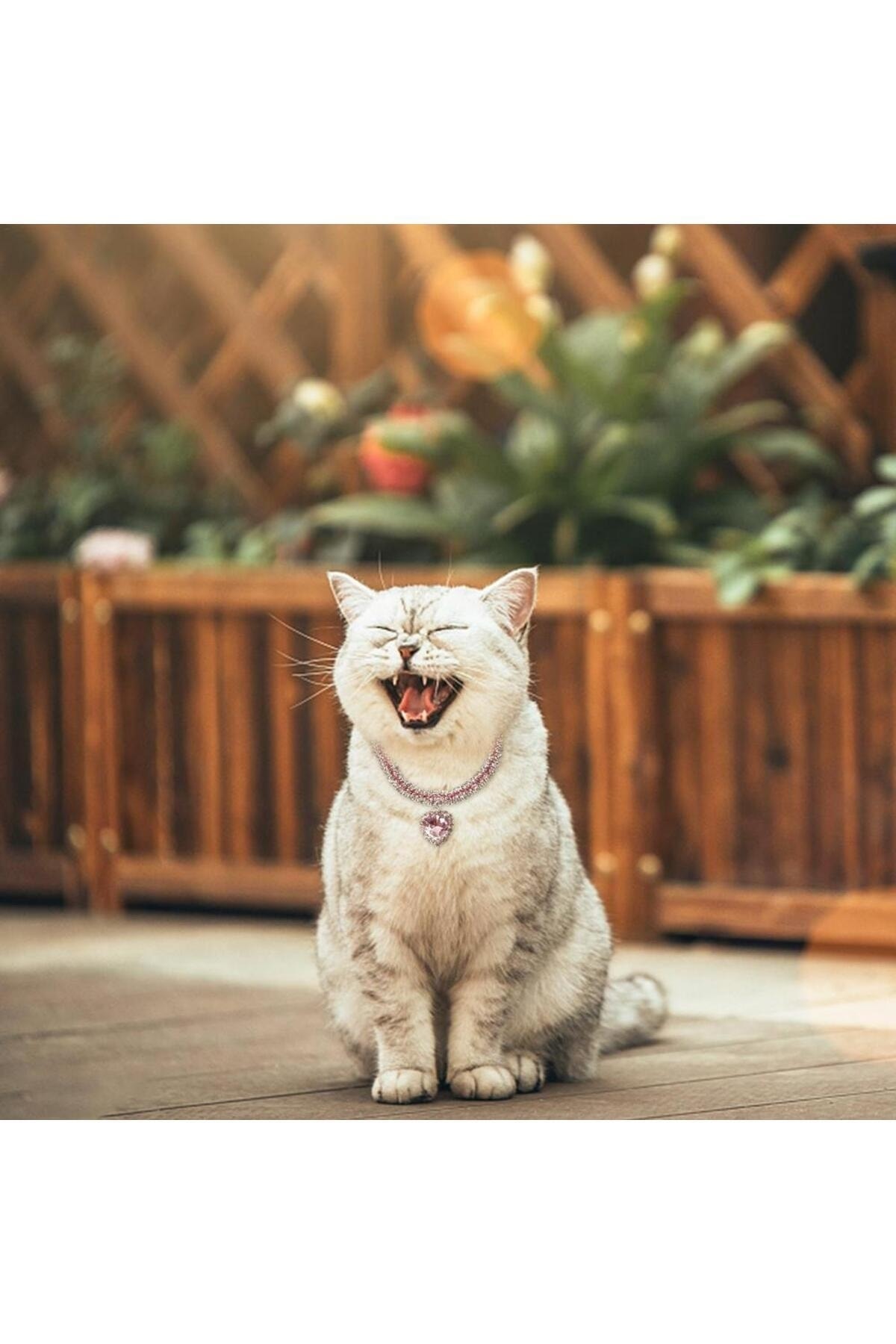 SYNOPE Lüks Kristal Mavi Taşlı Parıltılı Kalpli Süslü Kedi Köpek Yaka ...