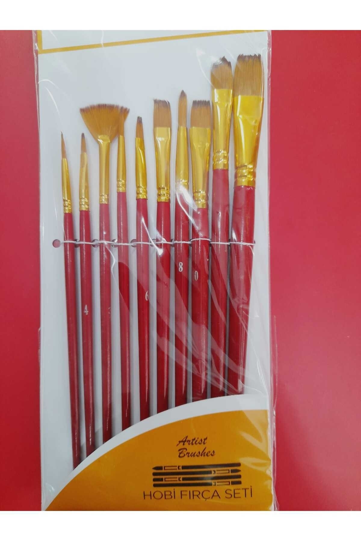 gebzeli fırça seti karışık set 10lu akrilik,guaj,sulu ve yağlı boyaya ...