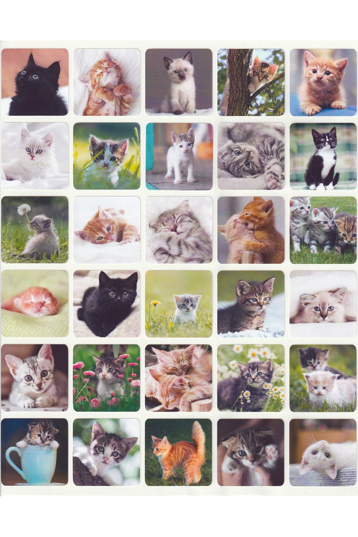 NUNUKİ Nunuki Yavru Kediler Sticker Seti Sevimli Kedicik Sticker Tatlı ...