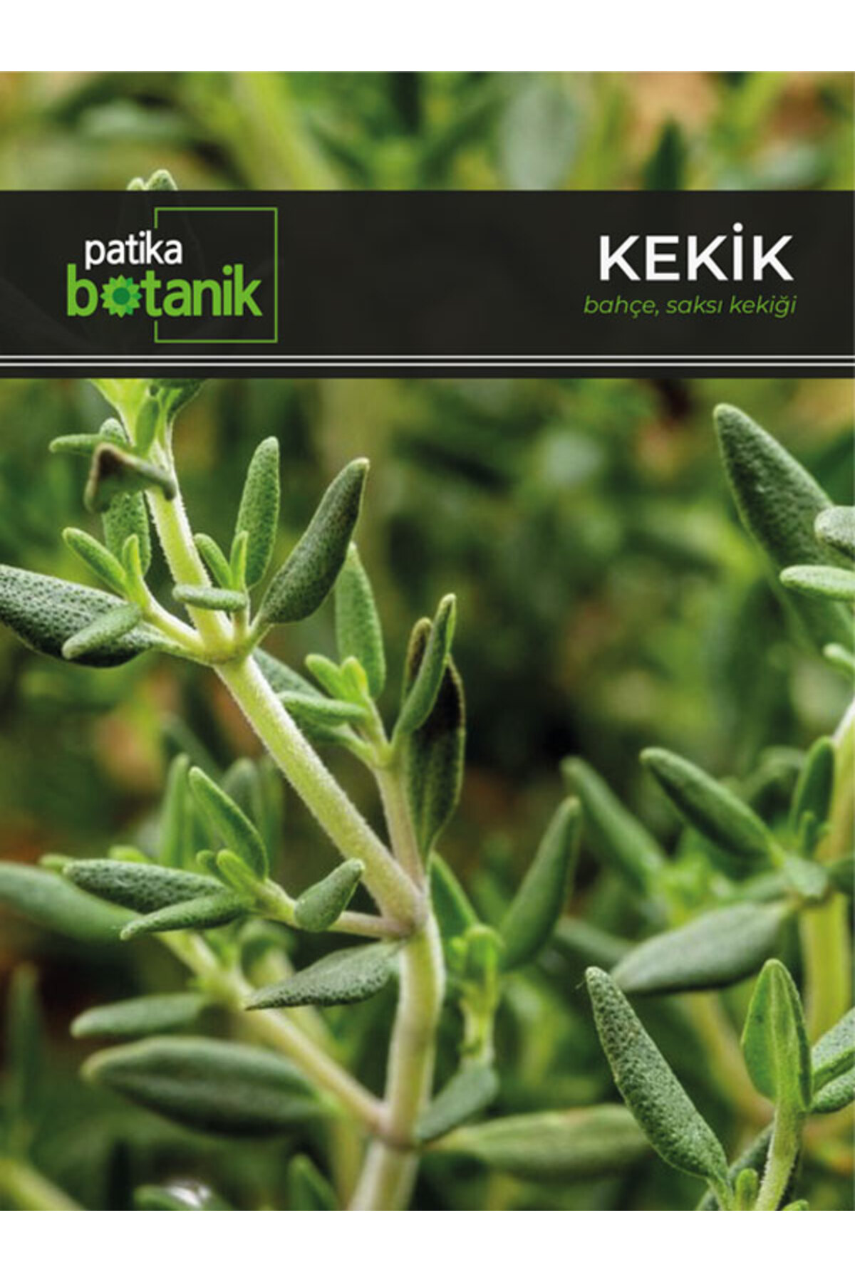 Patika Botanik 150 Adet Ata Tohumu Yerli Kekik (ZAHTER) Fiyatı, Yorumları - Trendyol