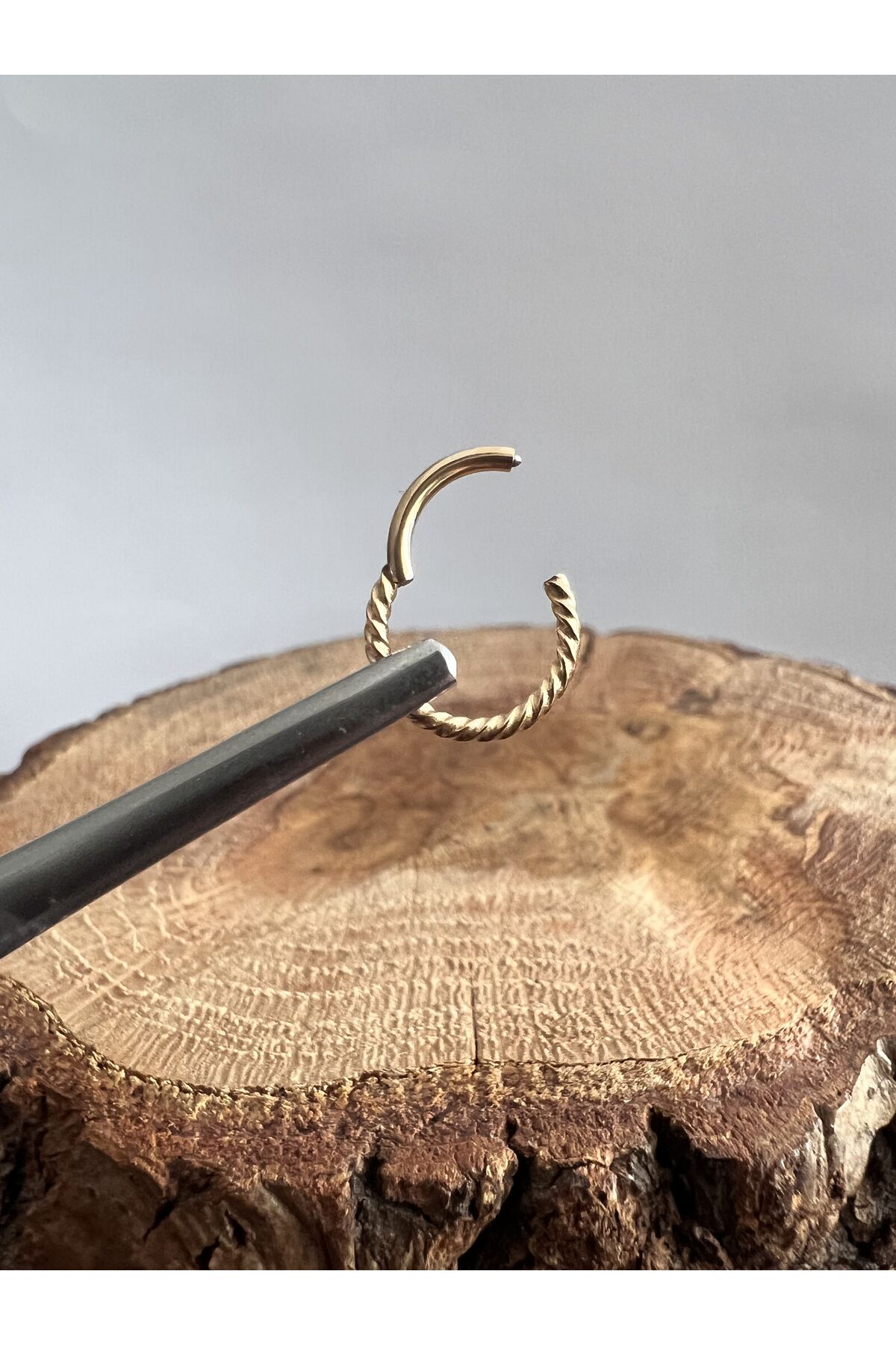 Karınca Piercing Burgu Kulak Tragus Dudak Smiley Conch Orbital Rook ...