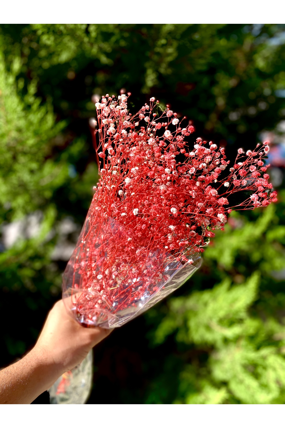 Ake Group Şoklanmış Pembe Cipso Kuru Çiçek - Bahar Yıldızı - Fiyatı ...