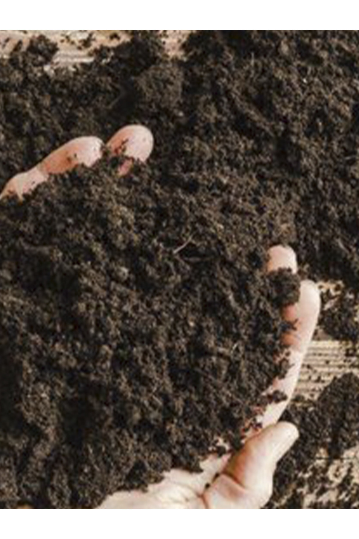 Elit Green Fresh yetkin torf Mükemmel Bitki Toprağı Saksı Toprağı Saksı ...